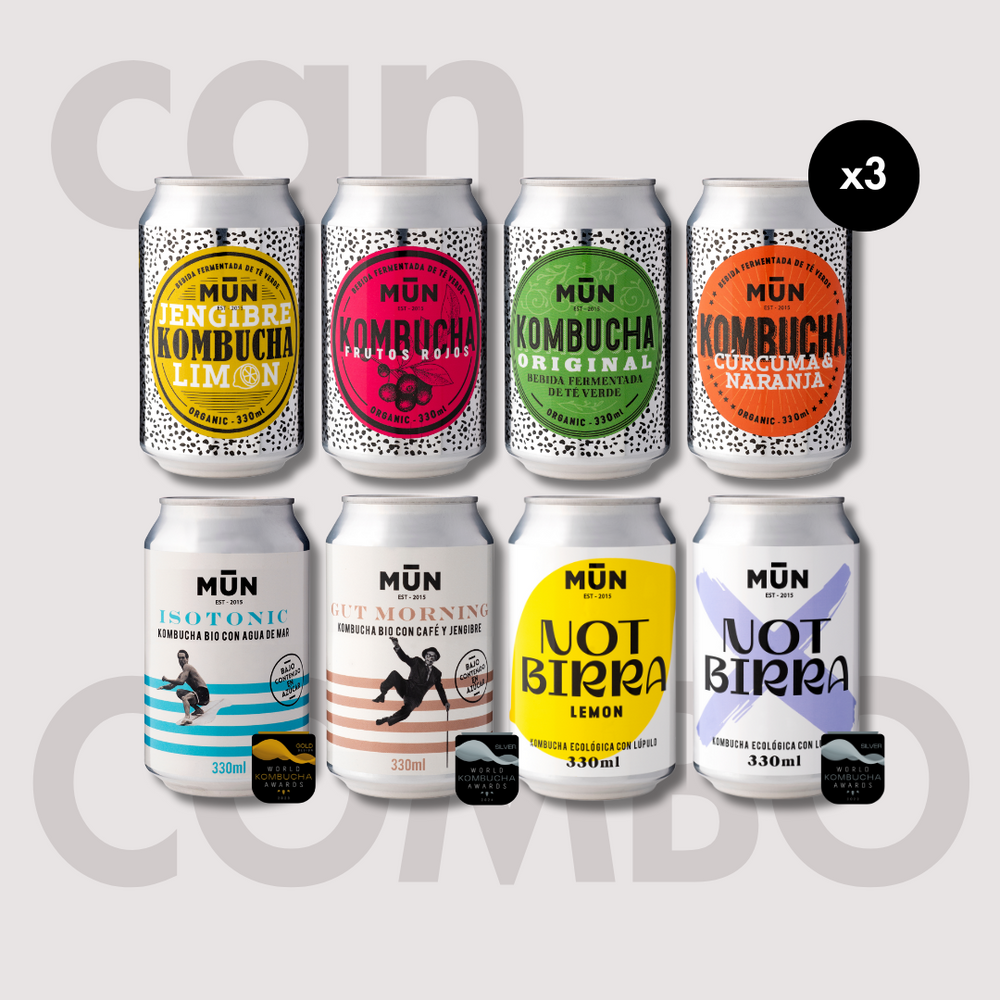 CAN COMBO 16 cans of 330 ml, 8 flavors