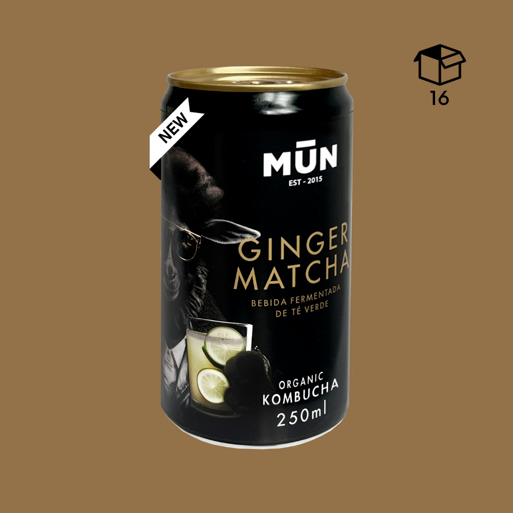 RADIKAL Ginger-Matcha | 16 cans 250 ml