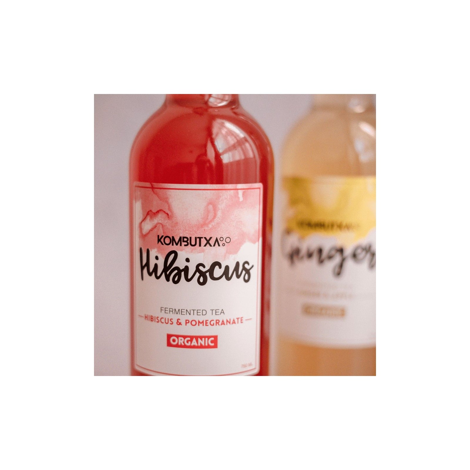 Starter pack Premium Kombutxa 750ml | by Mun Kombucha